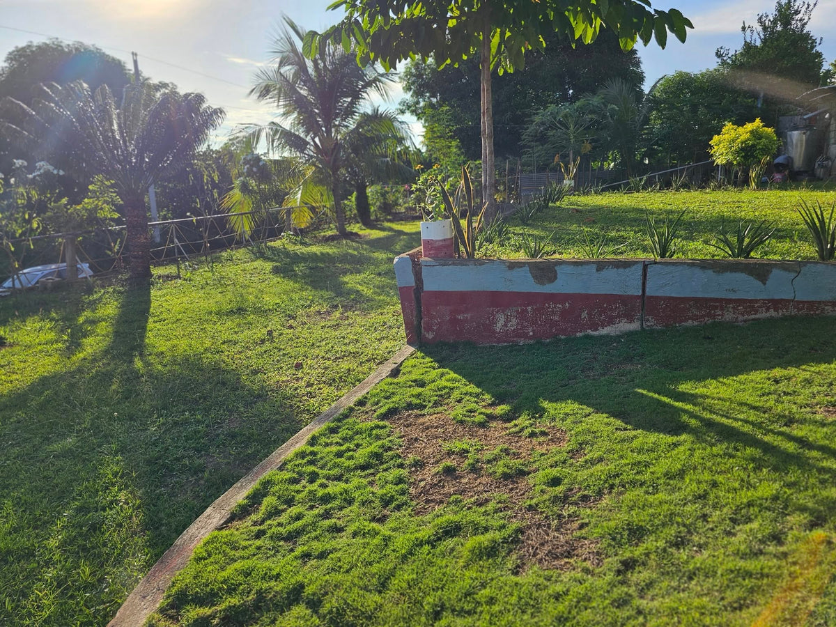 Bohol seaview lot for sale with residential house Ubay Bohol Philippines