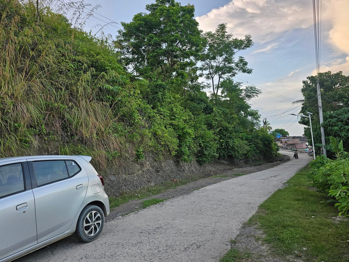 Bohol beach lot for sale 1.3hectares clean title Ubay Bohol Philipines